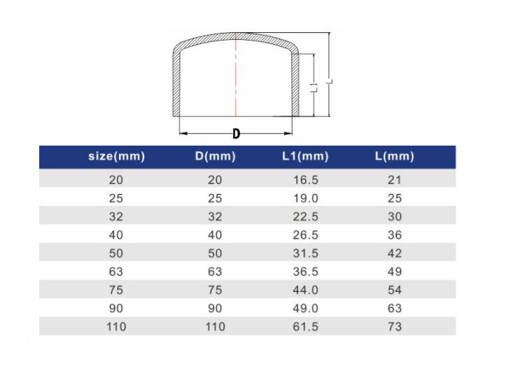 CPVC DIN FITTING END CAP Pvc Fitting Factory